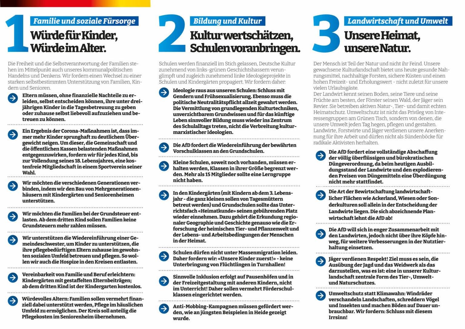 Flyer und Programm zur Kommunalwahl in Dithmarschen – AfD Schleswig ...